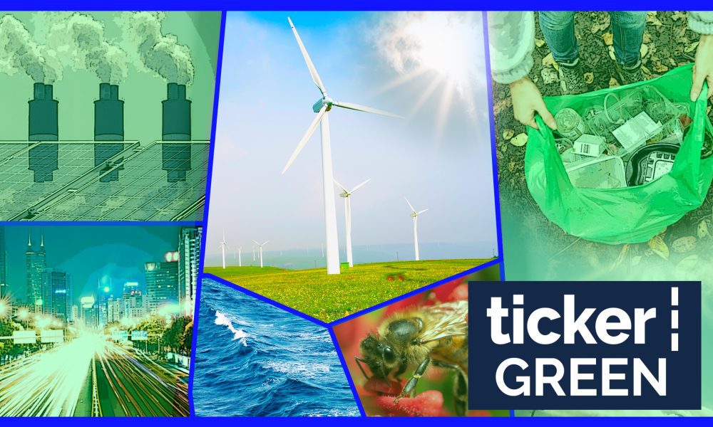 Ticker Green