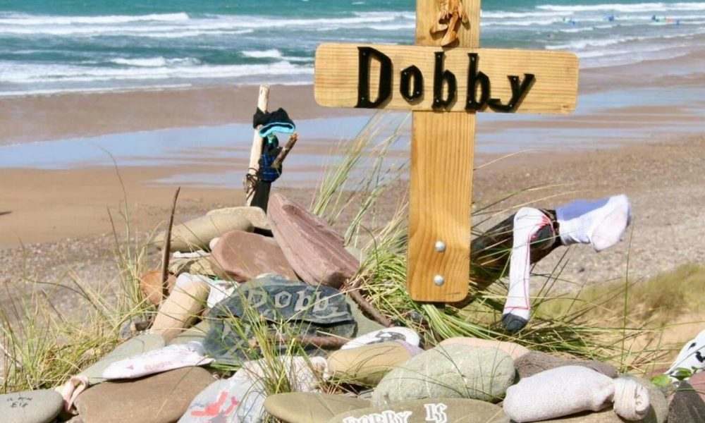 Memorial for Harry Potter elf, Dobby